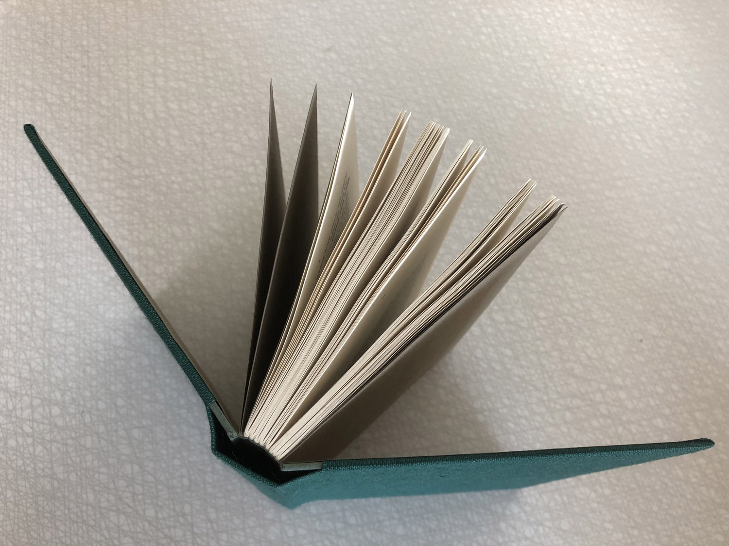 Sewn Boards Binding with One-Piece Covering - San Diego Book Arts